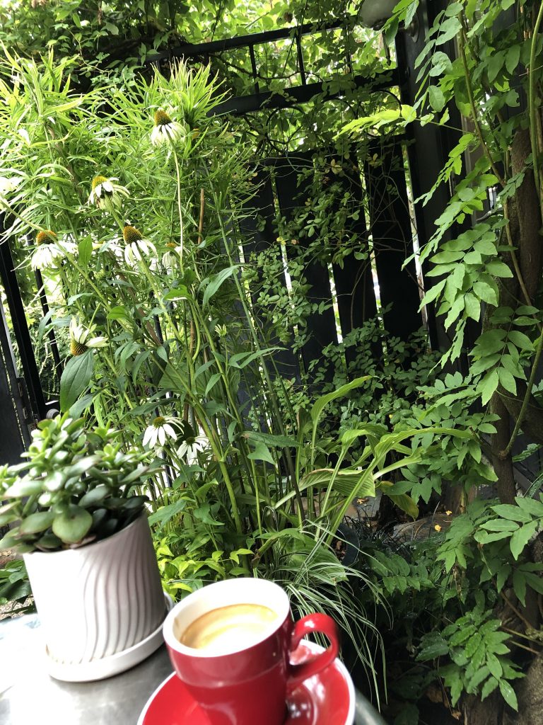 Red Arrow Coffee - A Secret Oasis - Seattle Unexplored